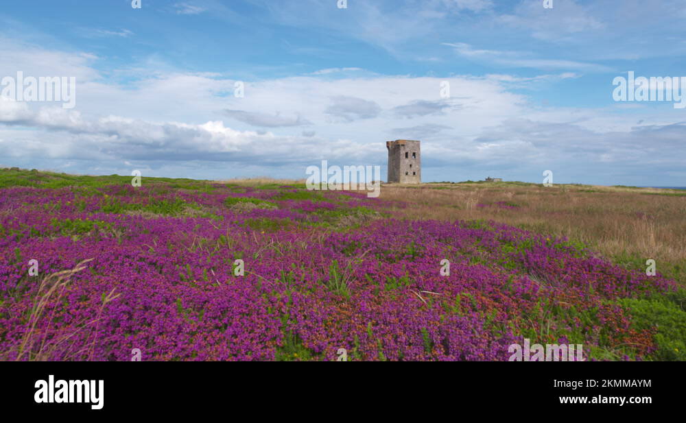 Napoleonic building Stock Videos & Footage - HD and 4K Video Clips - Alamy