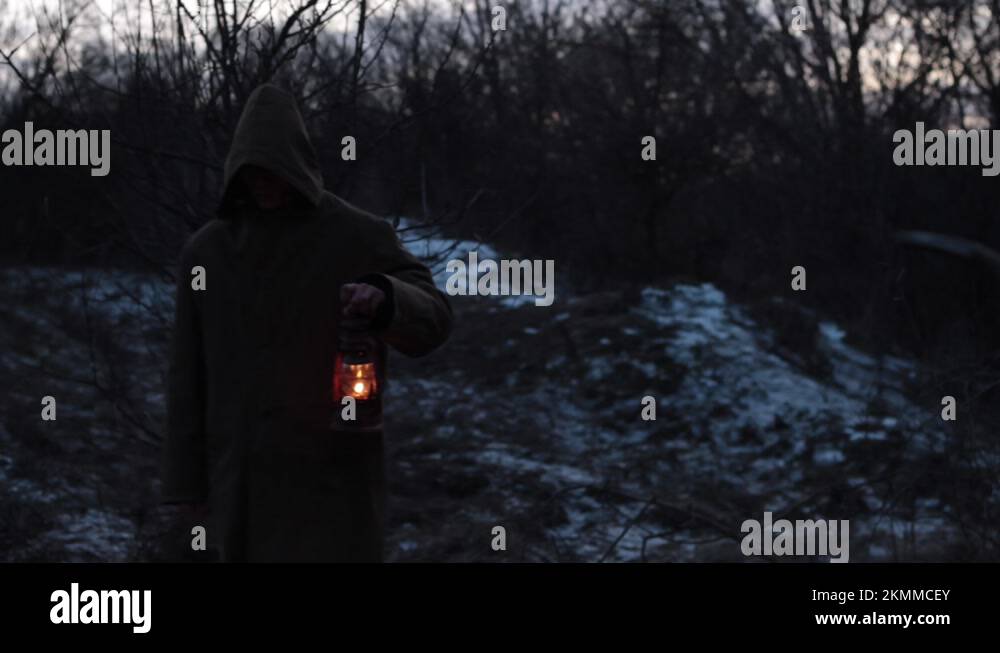 Dusky forest Stock Videos & Footage - HD and 4K Video Clips - Alamy