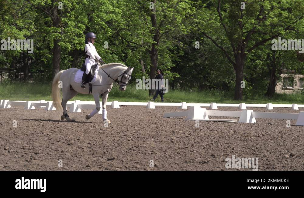Equestrian competition winner girl Stock Videos & Footage - HD and 4K ...