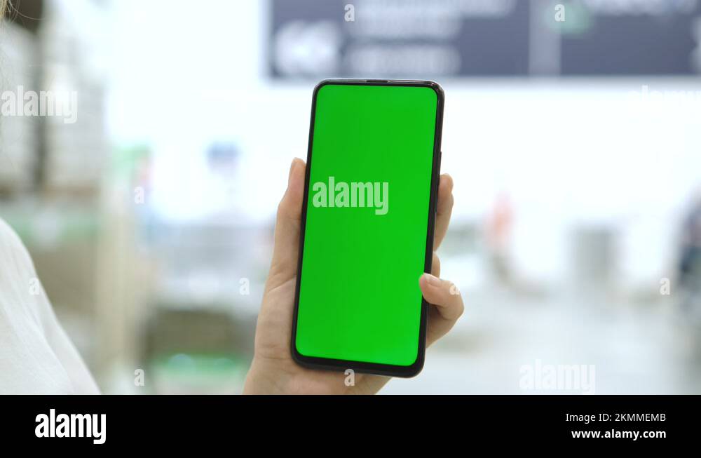 Shopping center. Mall. Department store. Back view of brunette holding ...