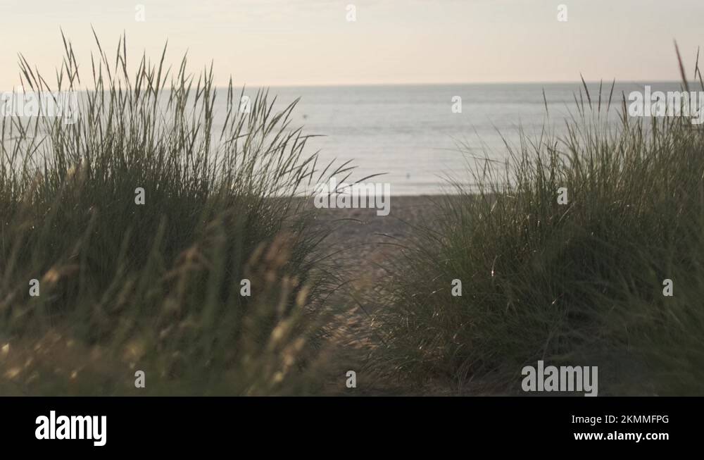Grassy beach Stock Videos & Footage - HD and 4K Video Clips - Alamy