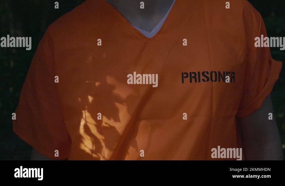 Male prisoner Stock Videos & Footage - HD and 4K Video Clips - Alamy