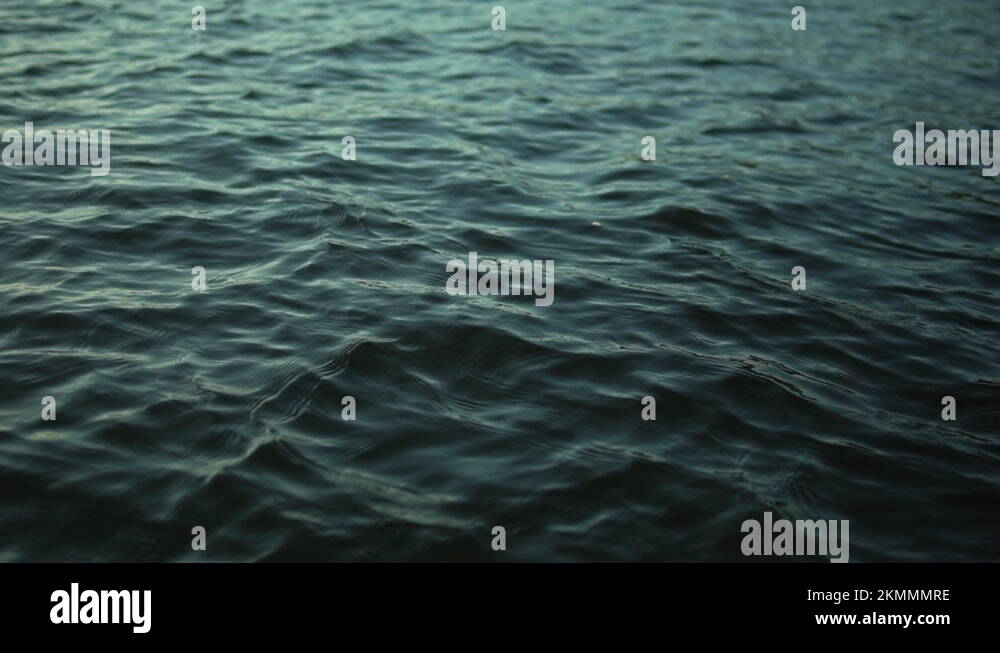 Slow moving water in nature Stock Videos & Footage - HD and 4K Video ...