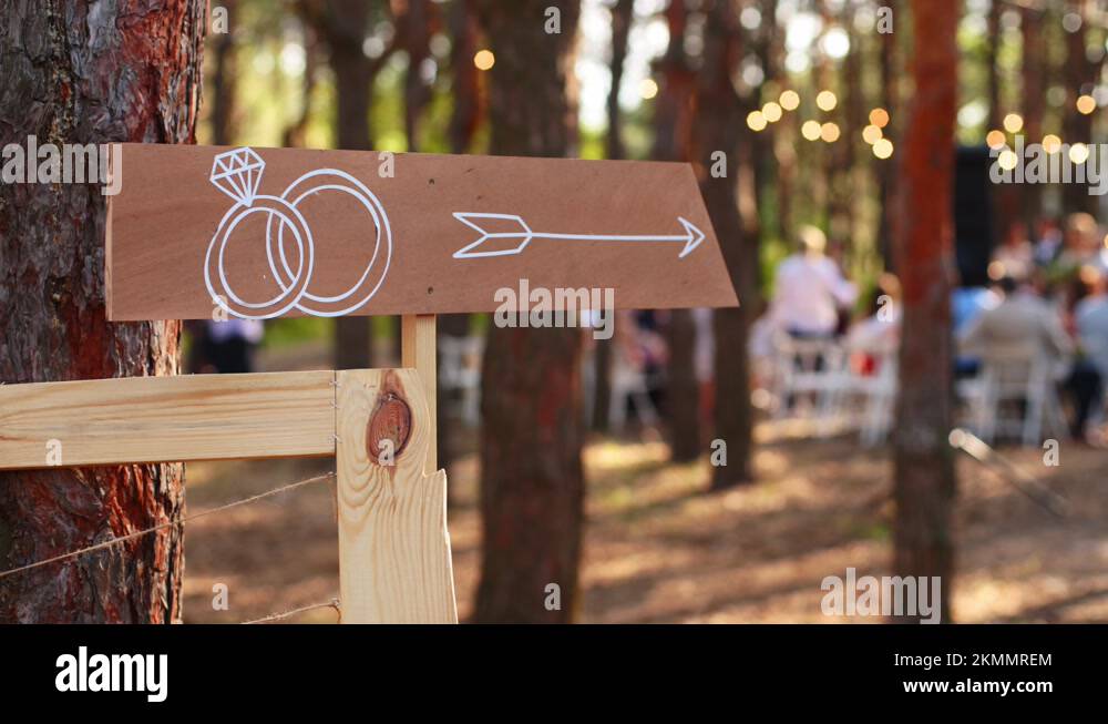 Party sign arrow Stock Videos & Footage - HD and 4K Video Clips - Alamy