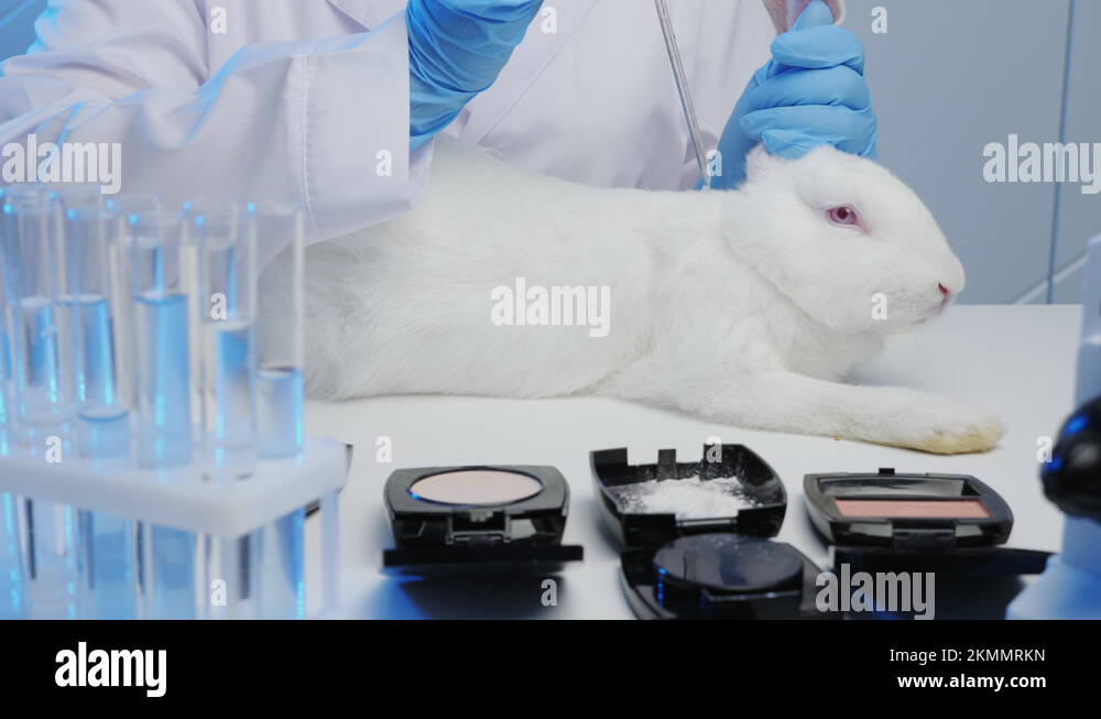 Scientific experiments on animals in the laboratory Stock Video Footage ...