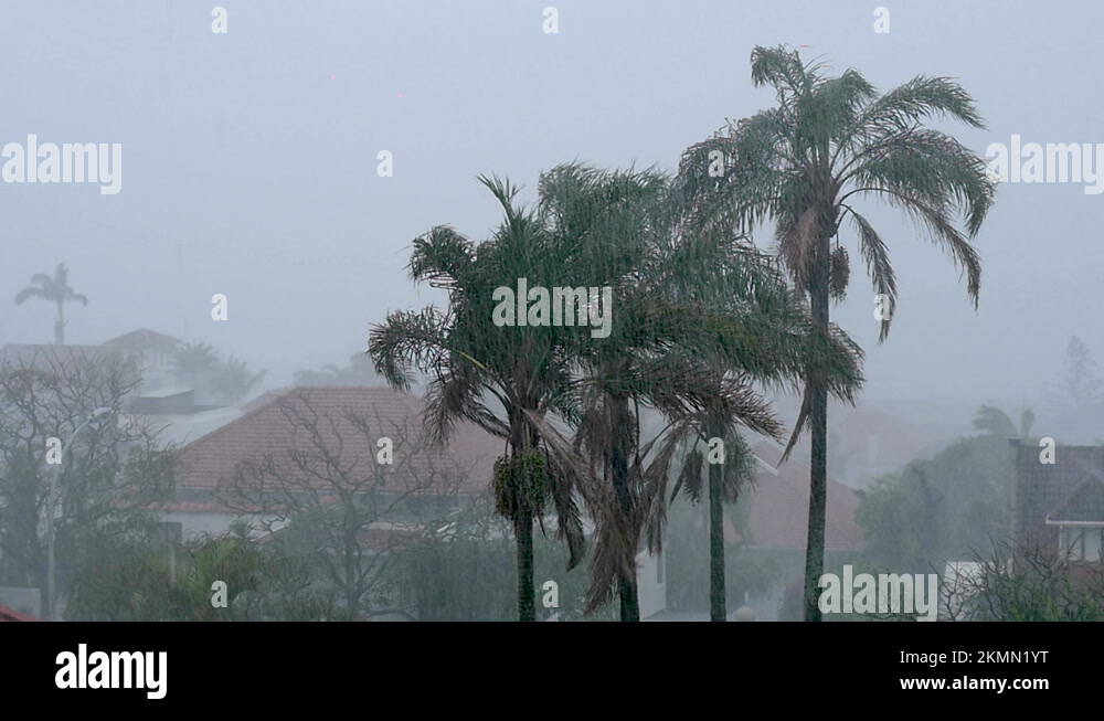 Poor rainfall Stock Videos & Footage - HD and 4K Video Clips - Alamy