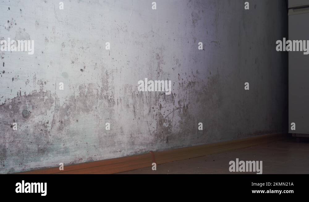 Mucormycosis, a dangerous infection known as black fungus in India ...