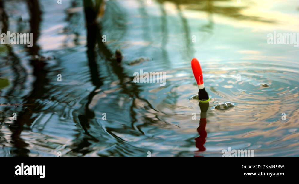 Angling float Stock Videos & Footage - HD and 4K Video Clips - Alamy
