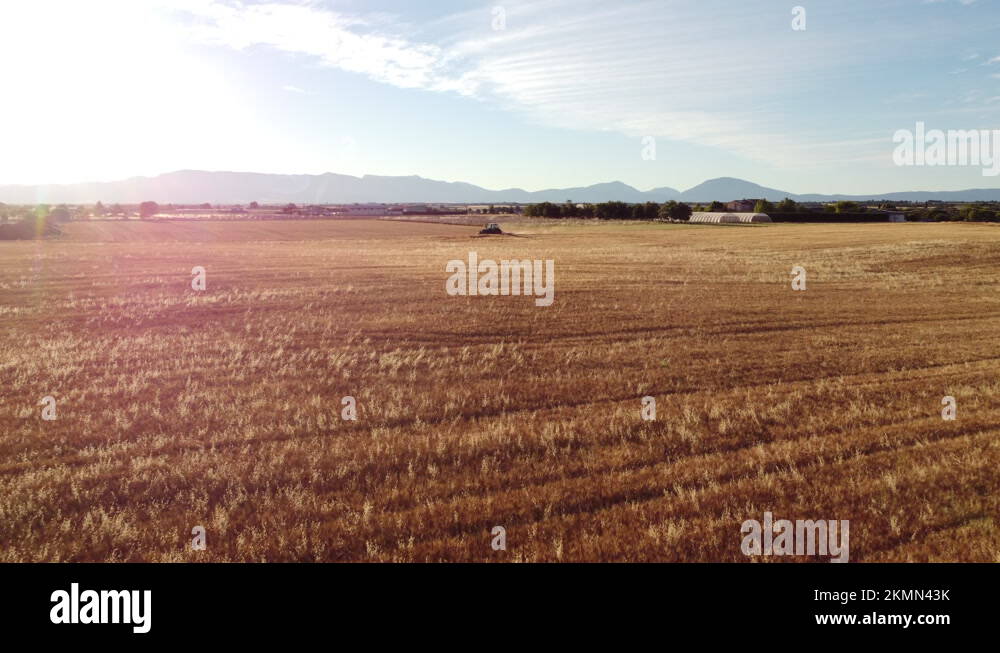Farmer cutting wheat field with harvester in farming agriculture Stock ...