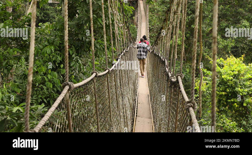 African Family Rope bridge jungle Kakum National Park Ghana 4K Stock ...
