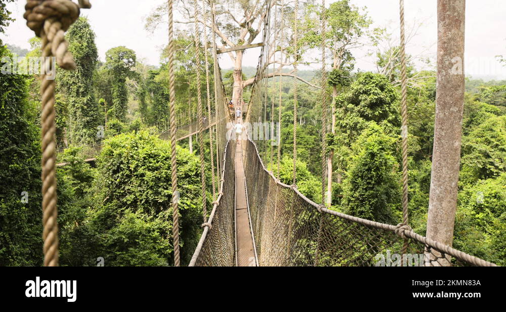 Crossing rope bridge Stock Videos & Footage - HD and 4K Video Clips - Alamy