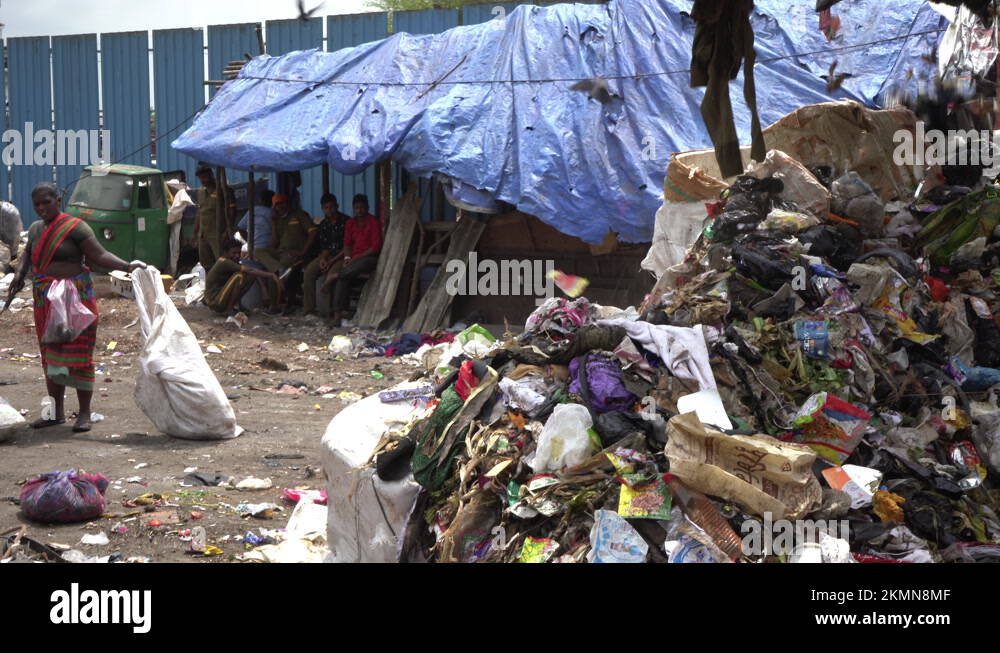 Rag picker Stock Videos & Footage - HD and 4K Video Clips - Alamy