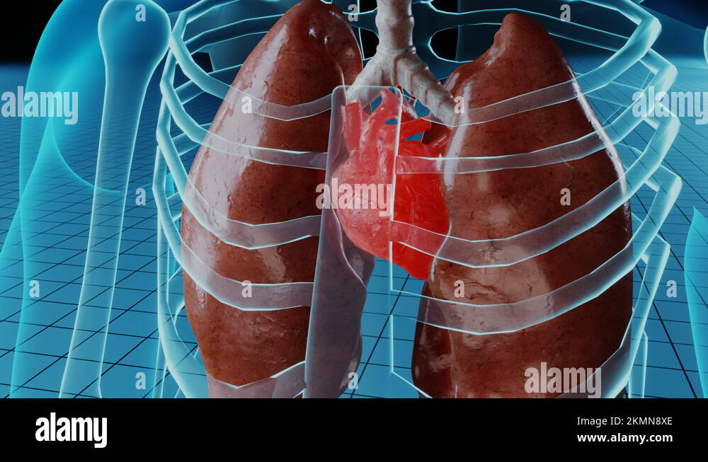 Heart damage Stock Videos & Footage - HD and 4K Video Clips - Alamy