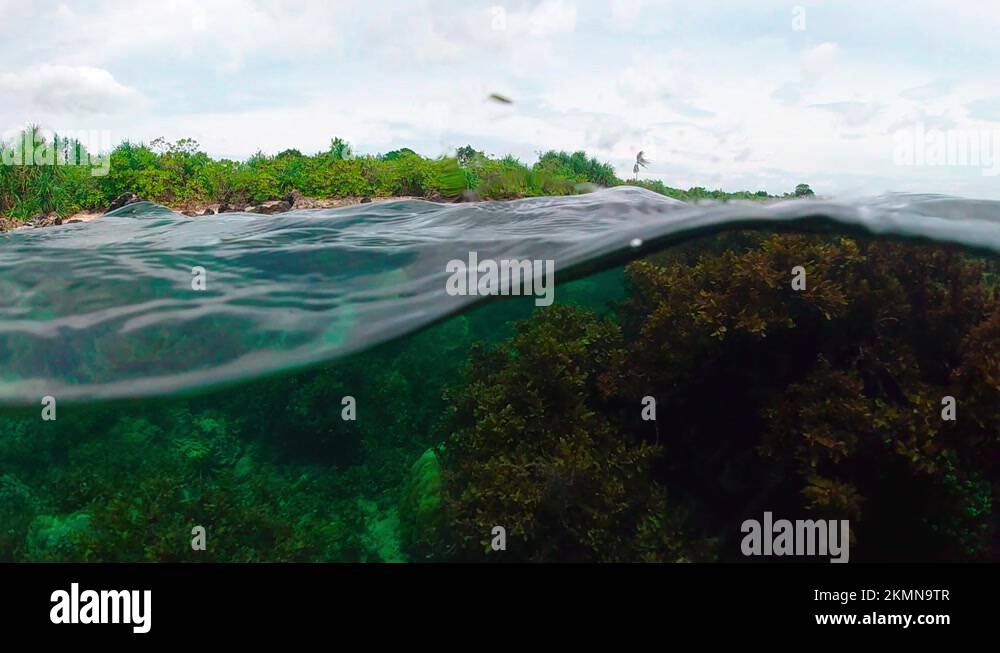 Shallow reefs off Stock Videos & Footage - HD and 4K Video Clips - Alamy