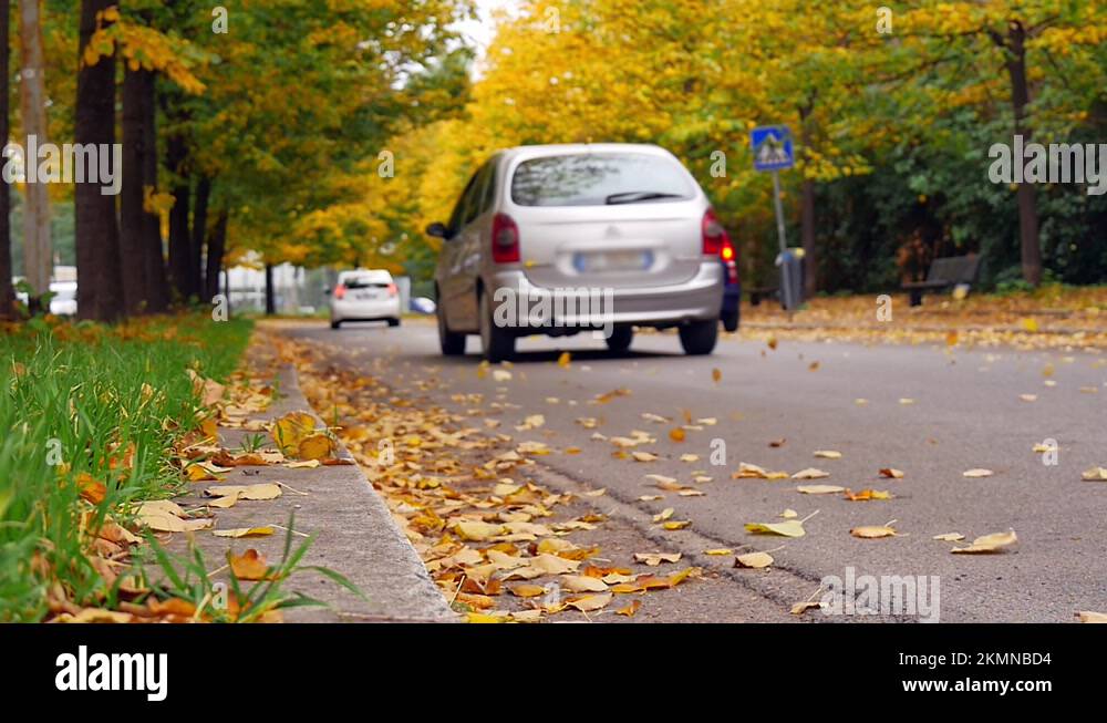 Slow-motion of a car driving by, with leaves on the ground flying Stock ...