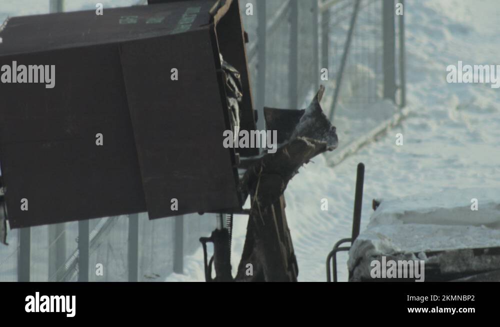 Removing rubbish in garbage cans with a garbage truck, a hydraulic arm ...