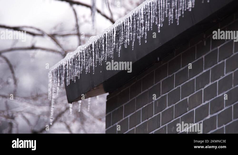 The ice and snow on eaves melting slowly and slush dripping slowly ...