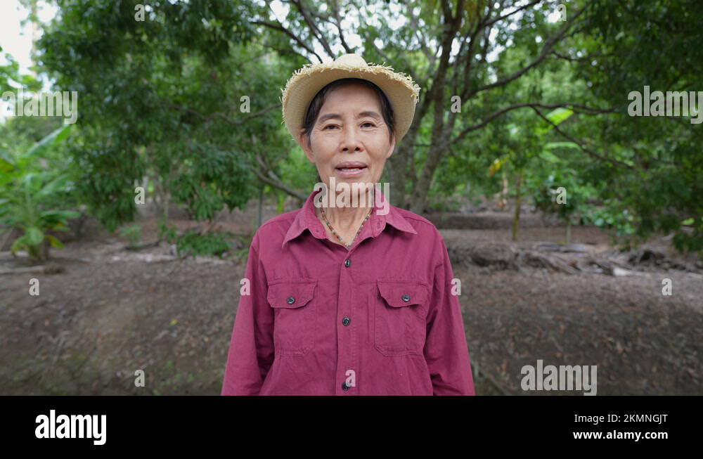 Agriculture concept of 4k Resolution. Farmers are explaining their ...