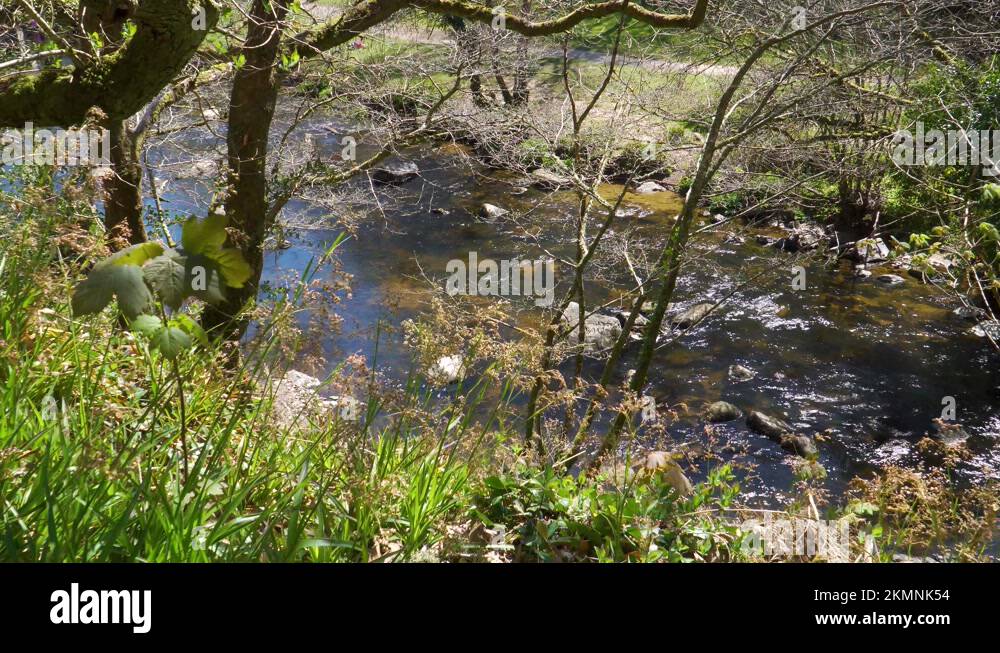 Dartmoor spring water Stock Videos & Footage - HD and 4K Video Clips ...