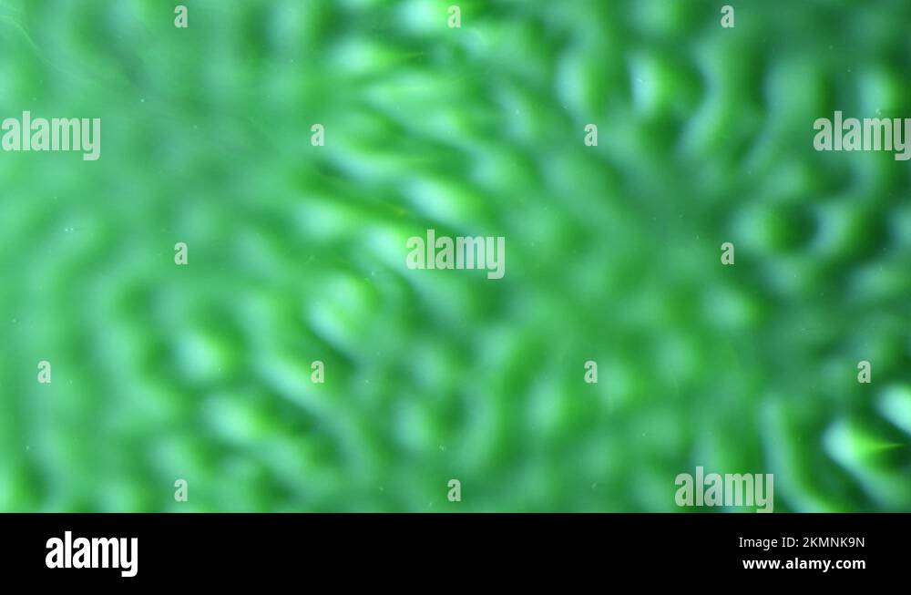 Green and Yellow are entranced in a trance in a dance, entrained and ...