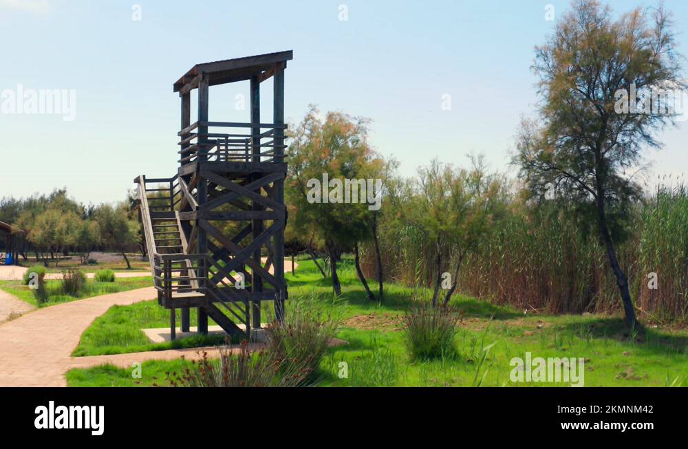 Circular viewing platform Stock Videos & Footage - HD and 4K Video ...