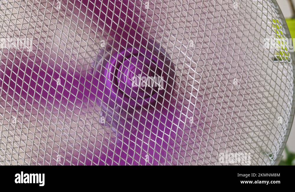 Fan safety Stock Videos & Footage - HD and 4K Video Clips - Alamy