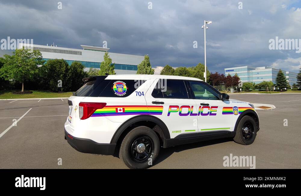 Pride month logo Stock Videos & Footage - HD and 4K Video Clips - Alamy