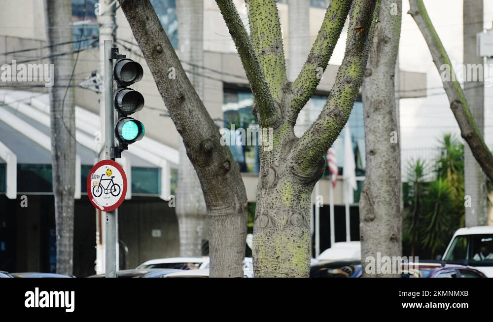 Green lane sign Stock Videos & Footage - HD and 4K Video Clips - Alamy