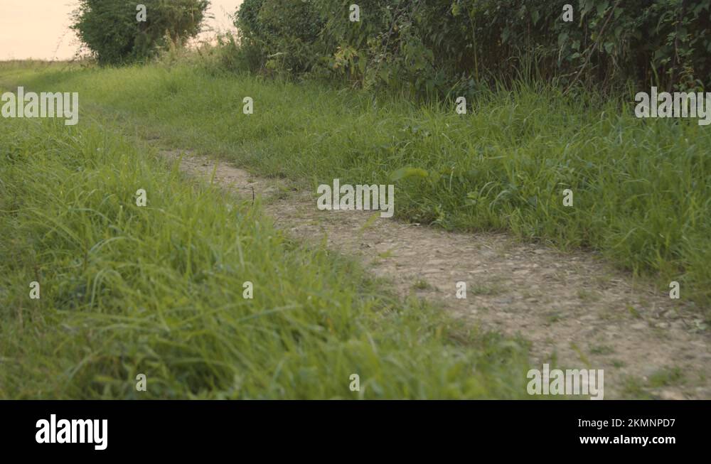 Rural footpath Stock Videos & Footage - HD and 4K Video Clips - Alamy