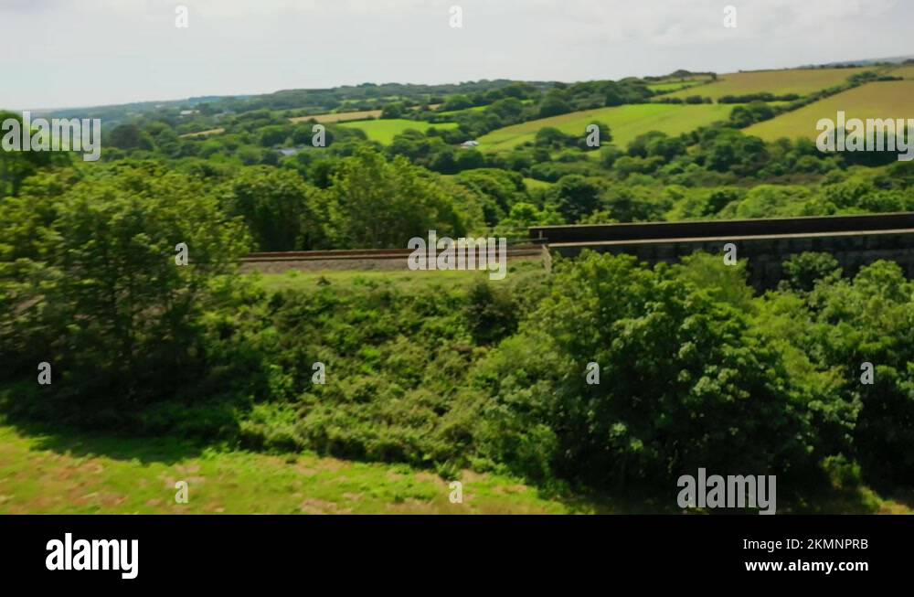 Cornish birds Stock Videos & Footage - HD and 4K Video Clips - Alamy