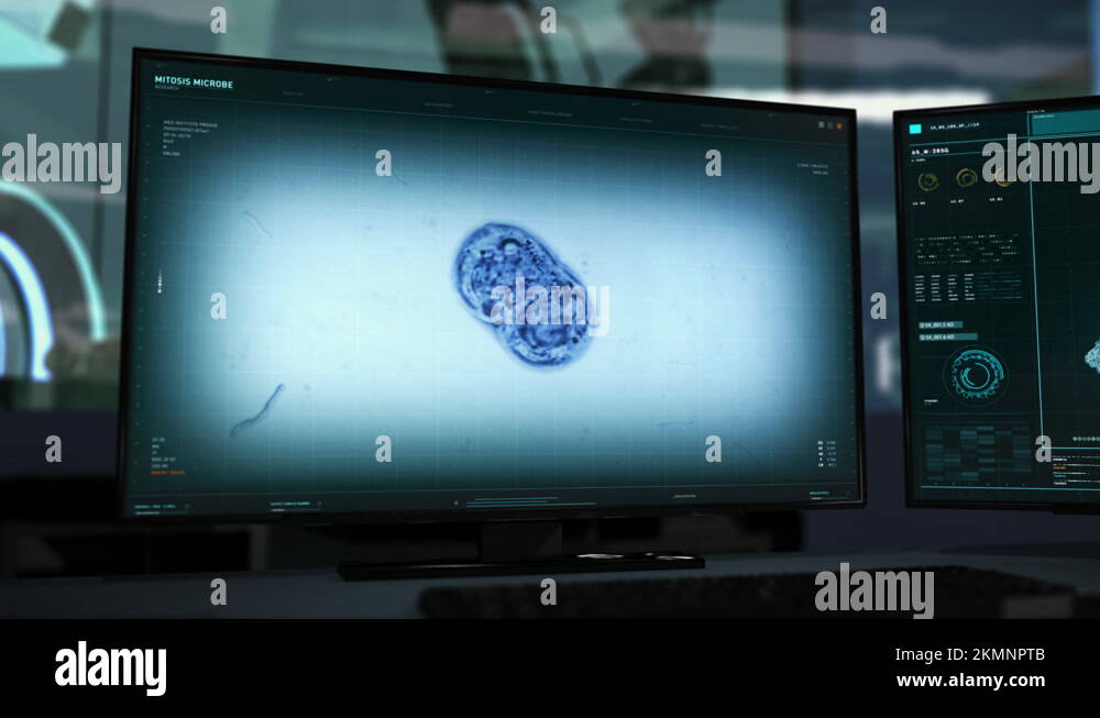Microbe Cell Mitosis Research Process Displaying On A Microscopic Level ...