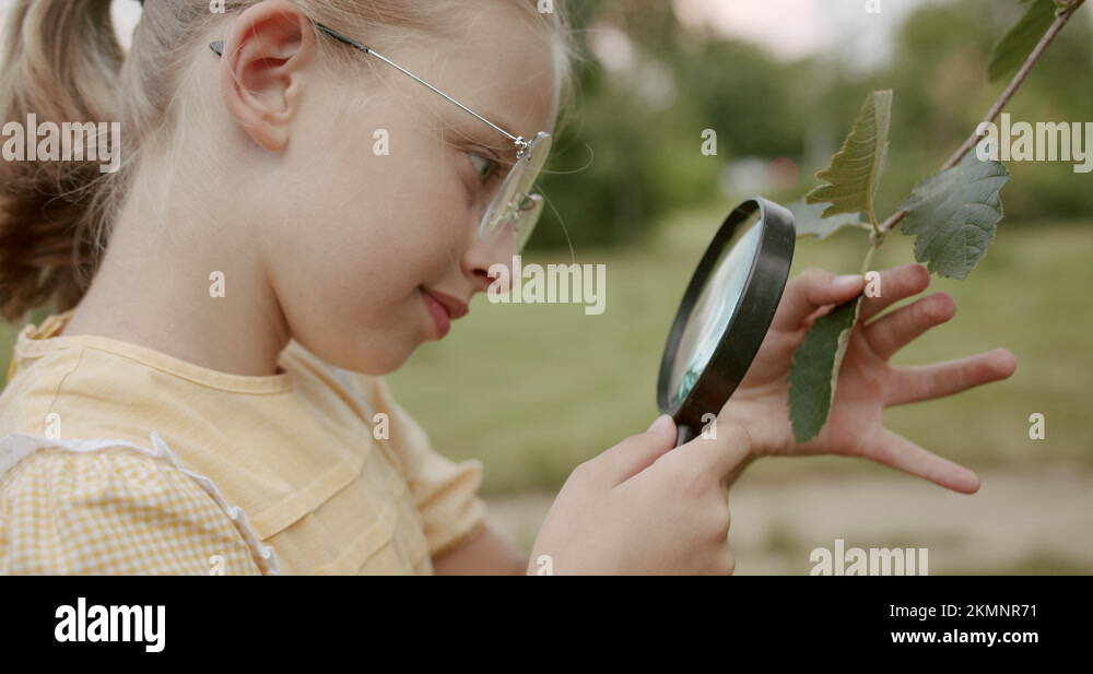 Discover insects Stock Videos & Footage - HD and 4K Video Clips - Alamy