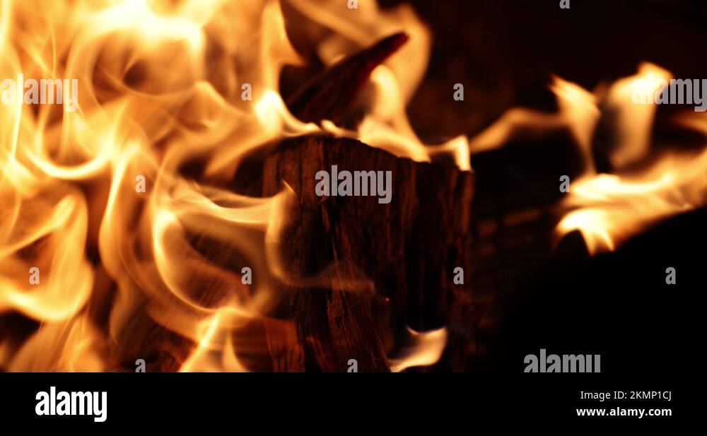 Bonfire fire, Real Flames Ignited On A Black Background. Real Fire. 4K ...