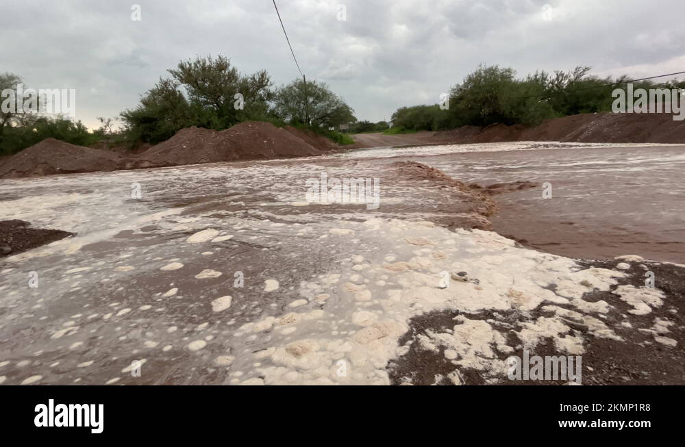 Desert after rainfall Stock Videos & Footage - HD and 4K Video Clips ...