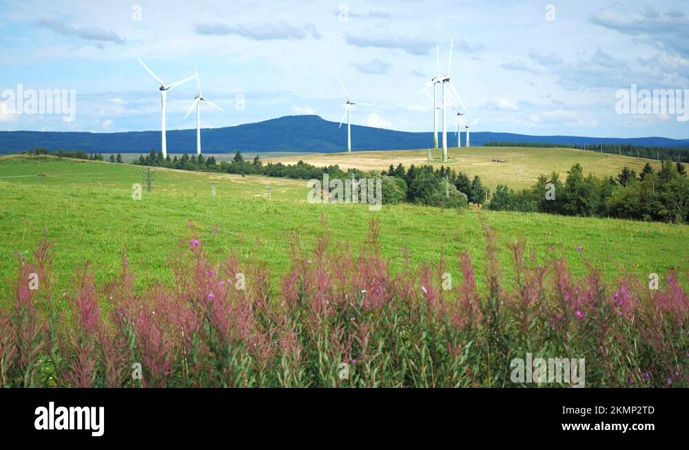 Wind hill Stock Videos & Footage - HD and 4K Video Clips - Alamy