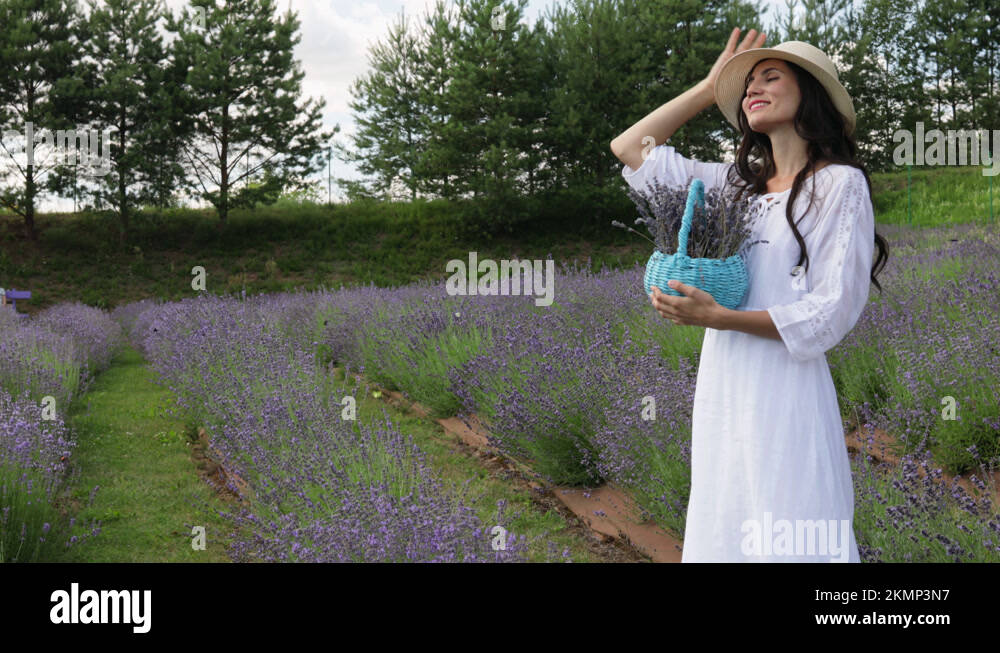 Woman gently touching her hat staying inside of lavender field Stock Video Footage - Alamy