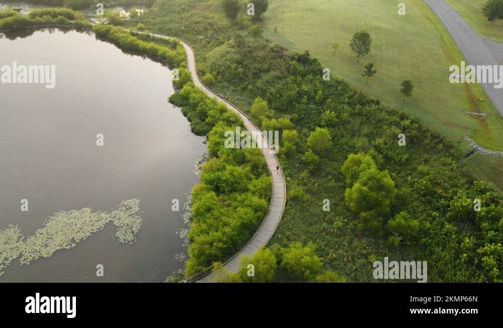Female jogging a path around a fishing pond during sunrise Stock Video ...