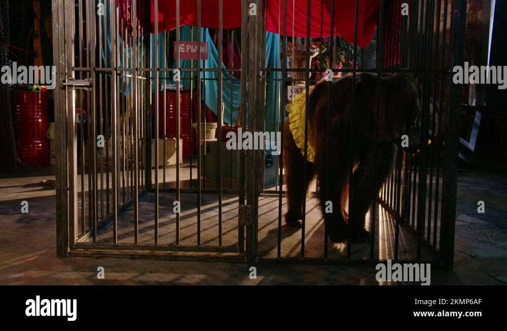 A pity Stock Videos & Footage - HD and 4K Video Clips - Alamy