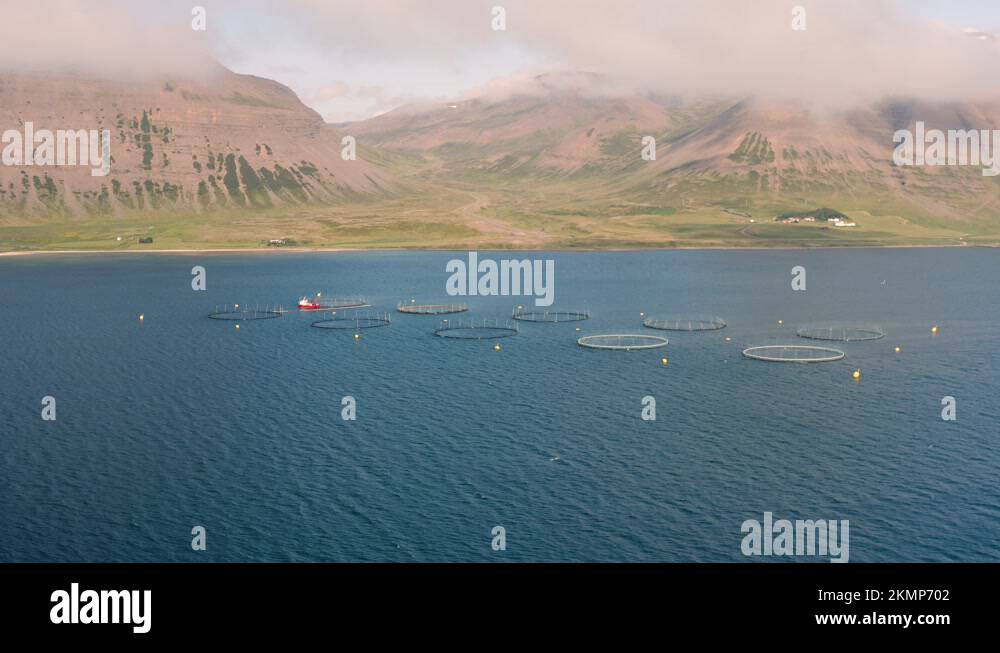 Fish farming iceland Stock Videos & Footage - HD and 4K Video Clips - Alamy