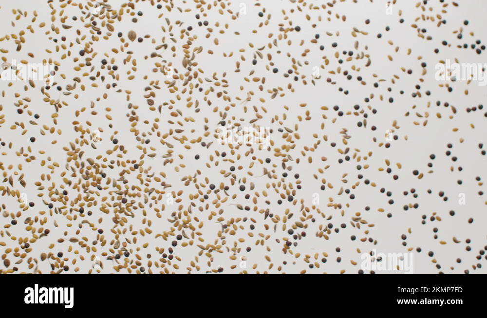 Dancing seeds Stock Videos & Footage - HD and 4K Video Clips - Alamy