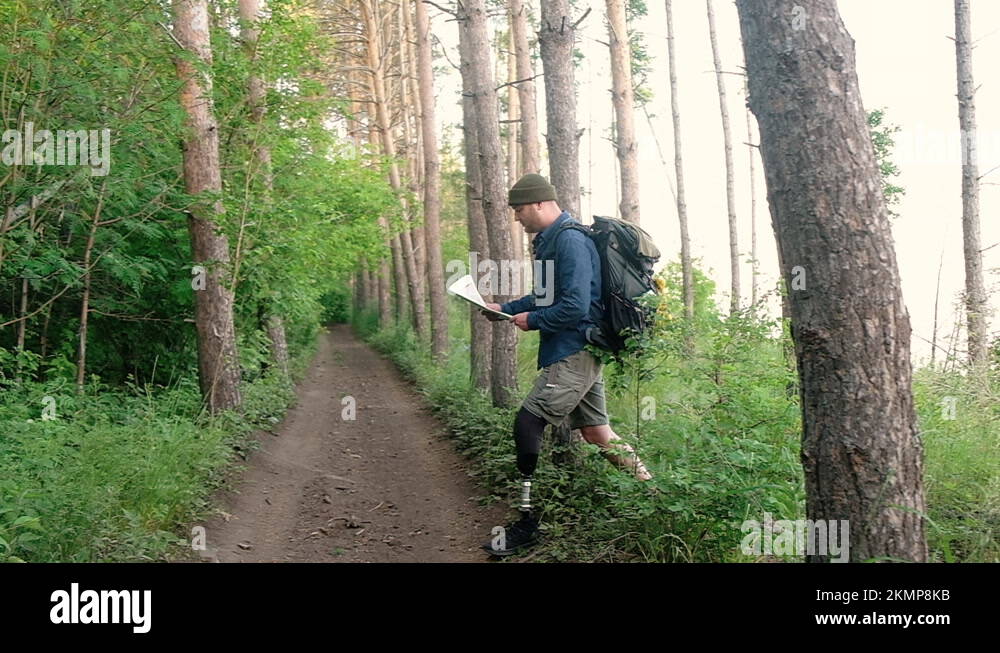 Pedestrian path in forest Stock Videos & Footage - HD and 4K Video ...