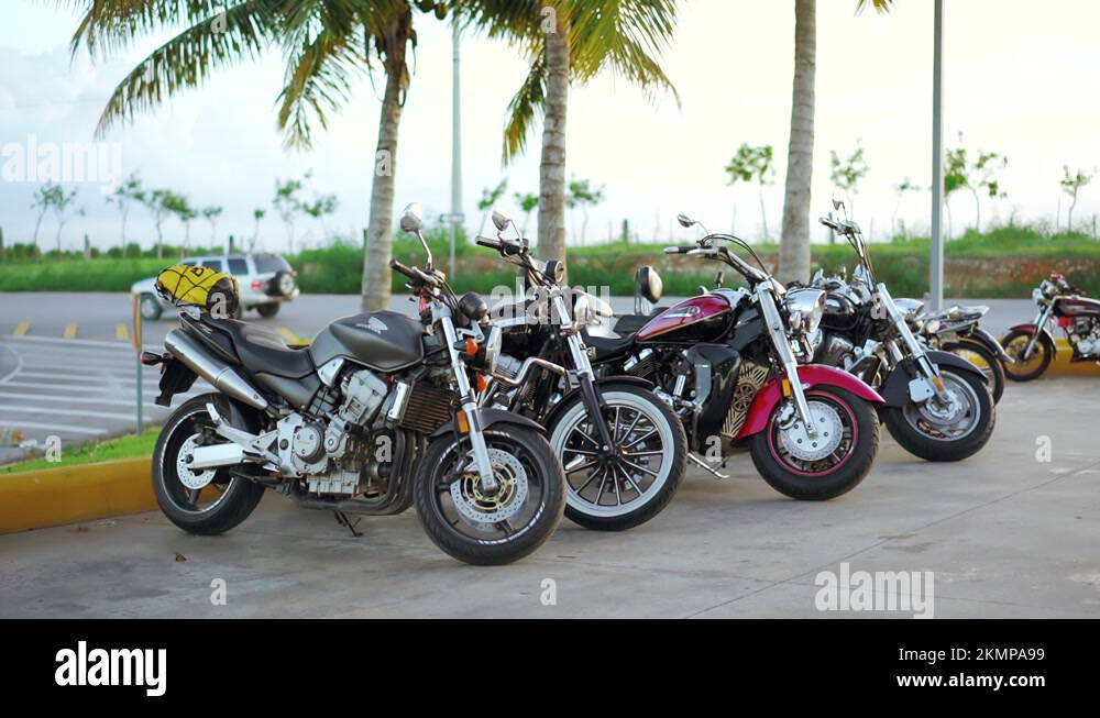 Chopper motorcycles standing in the row on the gas station under palm ...