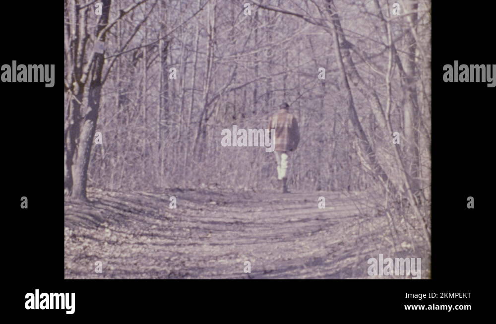 1970s: Bird in tree. Man walks through forest. Page in book, poem "The ...