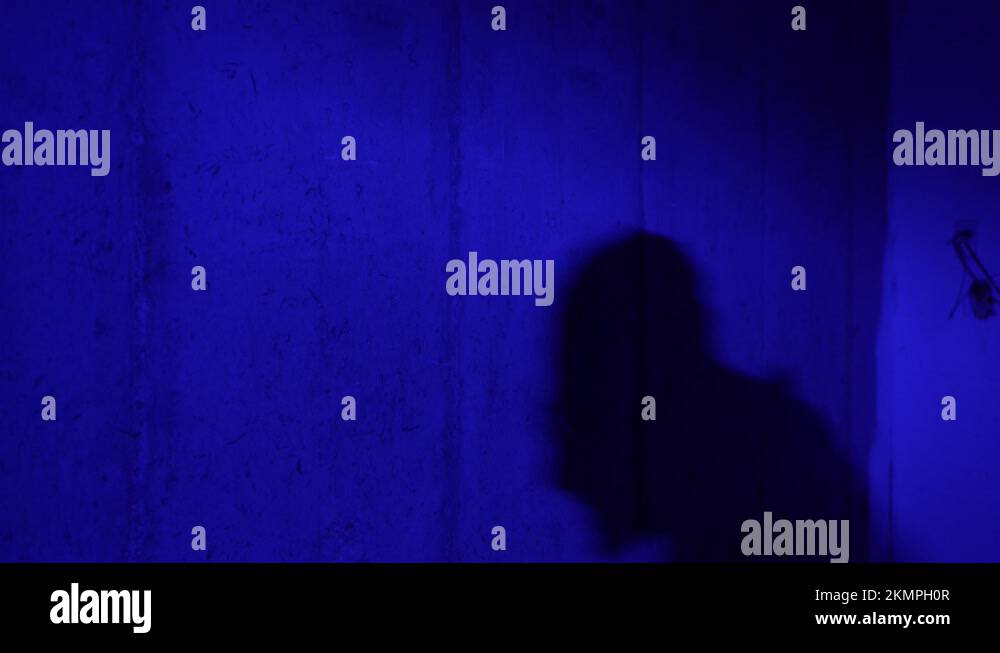 Criminal suspect silhouette Stock Videos & Footage - HD and 4K Video ...