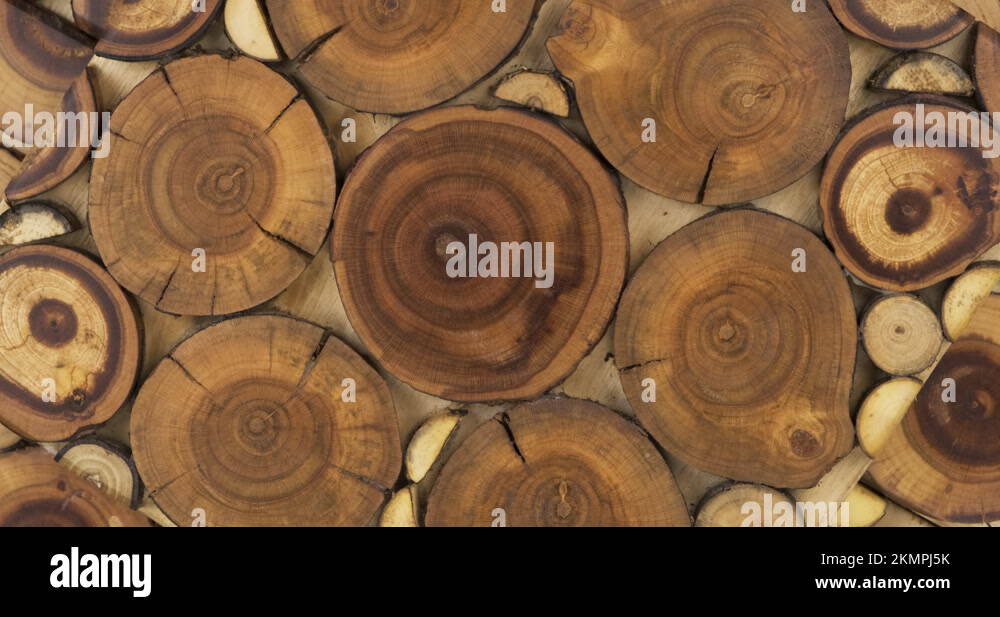 Round wooden unpainted solid natural tree cuts of different sizes ...