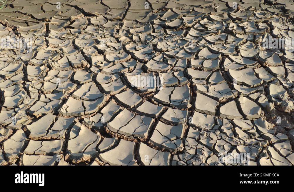 Soil pattern Stock Videos & Footage - HD and 4K Video Clips - Alamy