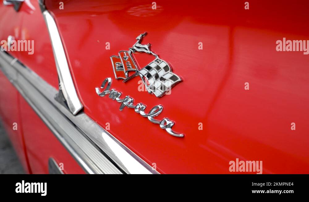 Restored logo Stock Videos & Footage - HD and 4K Video Clips - Alamy