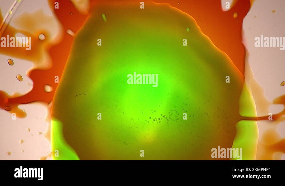 Splash effect Stock Videos & Footage - HD and 4K Video Clips - Alamy