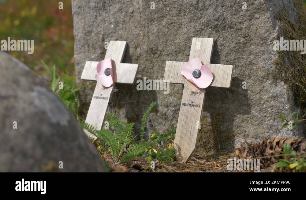 In remembrance crosses Stock Videos & Footage - HD and 4K Video Clips ...