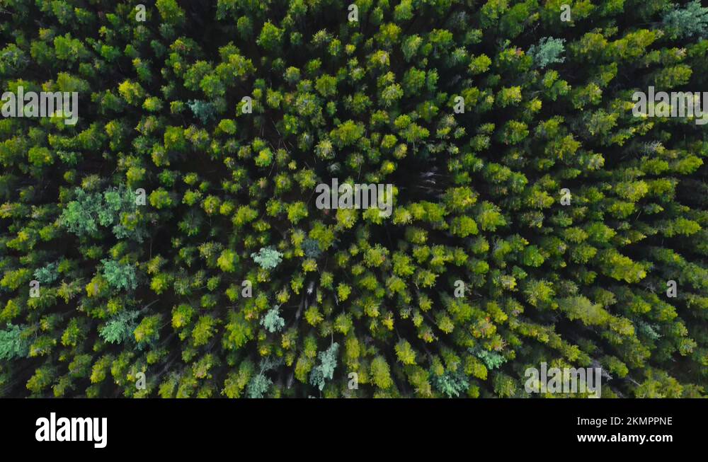 Faint trail Stock Videos & Footage - HD and 4K Video Clips - Alamy